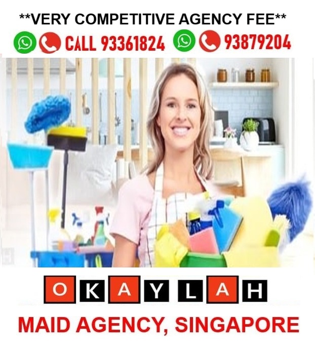 Indian Maid Agency Singapore | Indian Helper, Indian Maids, Indian ...